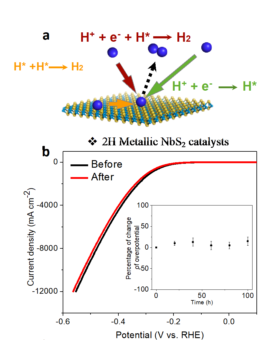research_nbs2_her.png | 2D Materials and Devices Group